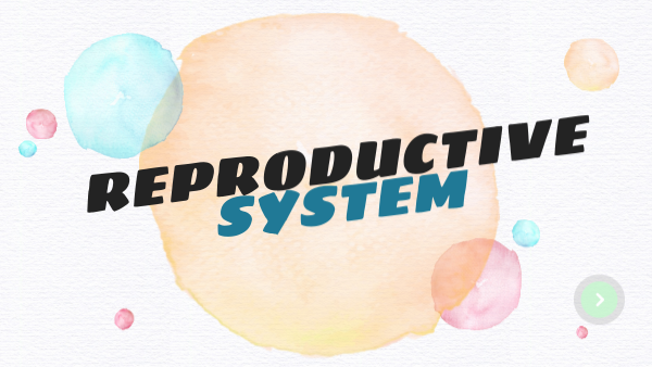 REPRODUCTIVE SYSTEM | Genially