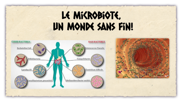 Le microbiote - description, rôle, intérêt.