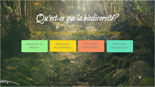 Les échelles de la biodiversité | Genially