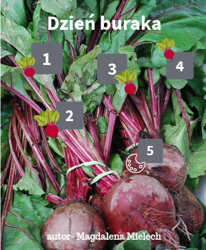 Dzień buraka | Genially