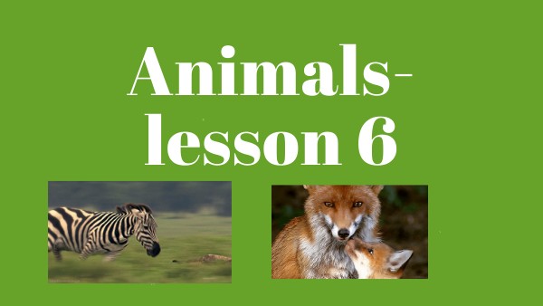 Animals 6 Genially