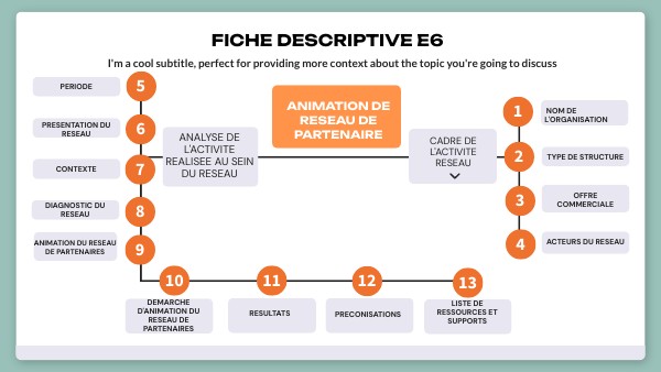 Carte mentale fiche E6