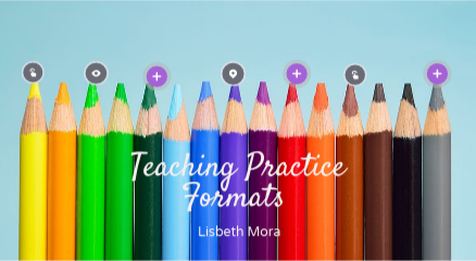 Syllabus and formats Teaching practice