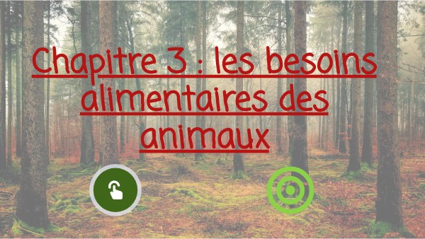 6e CH3 besoins animaux