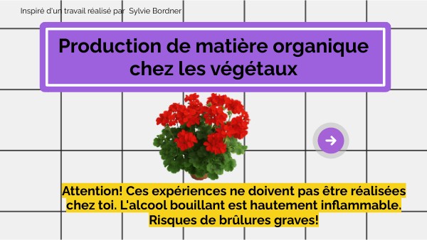 TP-Production de matière organique par les végétaux | Genially