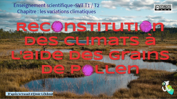 TP T3/T4 Pollen 2023