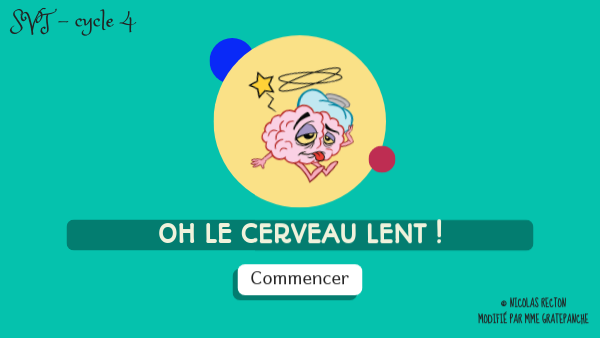 cycle 4 - perturbations du SN | Genially