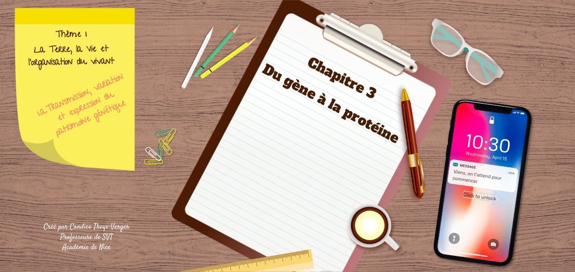 Chapitre 3_avec corrigé | Genially