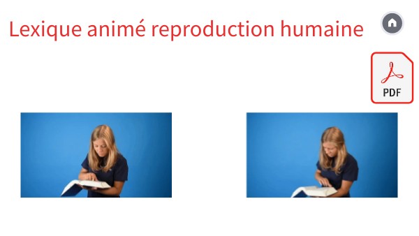 Lexique animée reproduction humaine | Genially