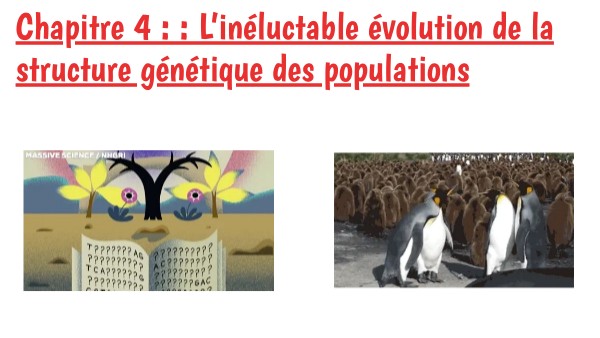 chapitre 4 l'inéluctable évolution de la structure génétique populati | Genially