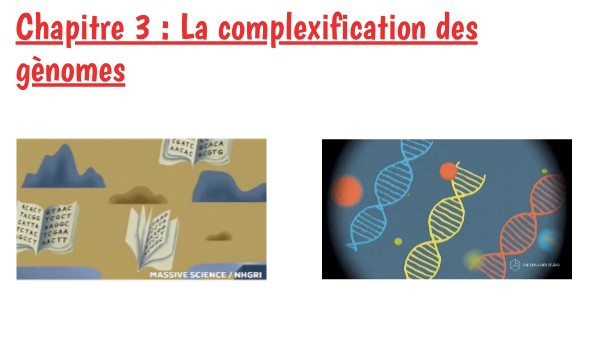 Chapitre 3 : complexification des génomes | Genially