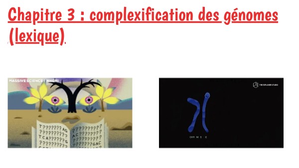 lexique complexification des génomes | Genially