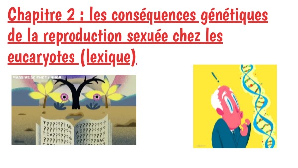 Lexique chapitre 2 génétique Term Spé | Genially