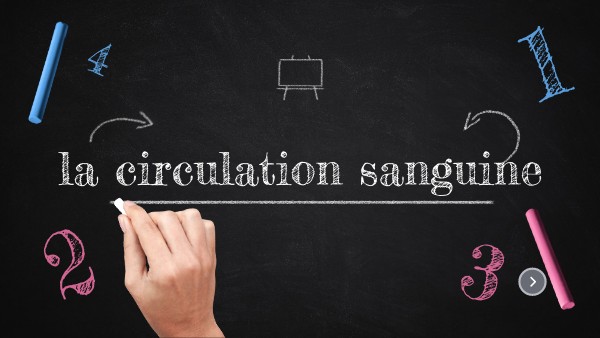 circulation sanguine 1 | Genially