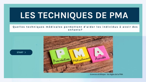 Les techniques de PMA | Genially