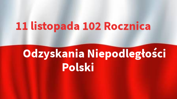 11 listopada