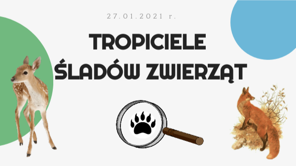 Tropy zwierząt | Genially