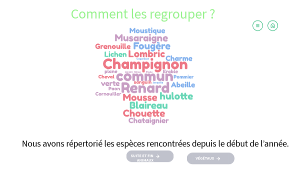 6e_clasSiFIcaTIon etape2 | Genially