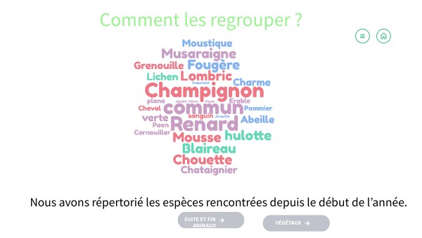 6e_clasSiFIcaTIon etape2 copie | Genially