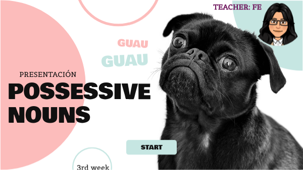 Possessive Nouns | Genially
