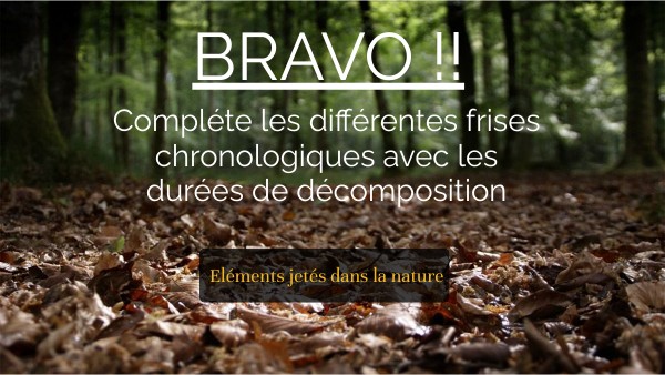 6e - Decomposeurs DECHET