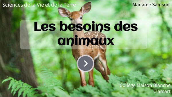 6e Besoins animaux | Genially