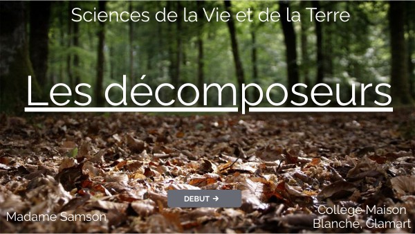 6e - Decomposeurs | Genially