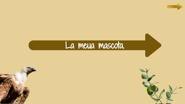 La meua mascota