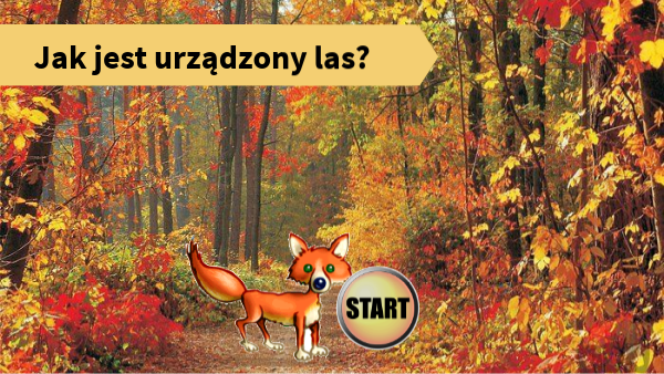 Jak urządzony jest las? | Genially