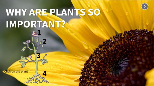 UNIT 4 PLANTS | Genially