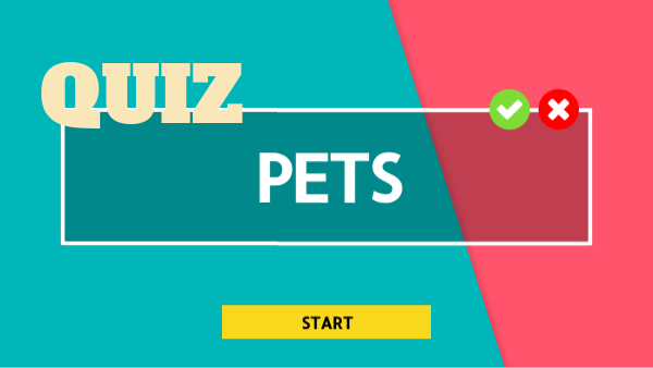 PETS comparison Quiz | Genially