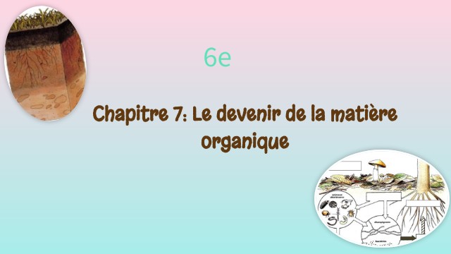 Chapitre 7_2021