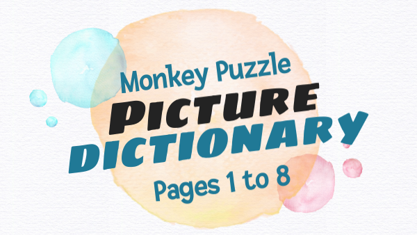 PIC DICTIONARY: MP 1 TO 6 | Genially