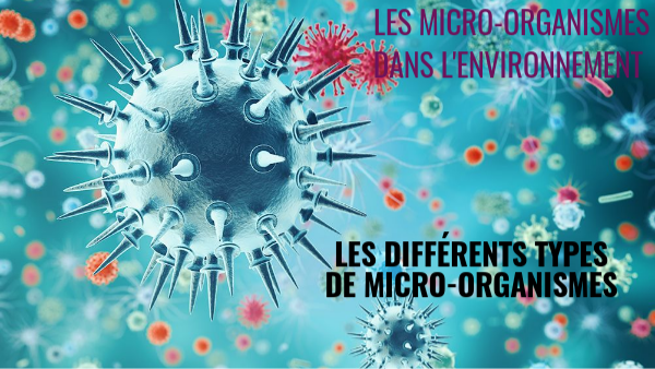 Les micro-organismes dans l'environnement copie