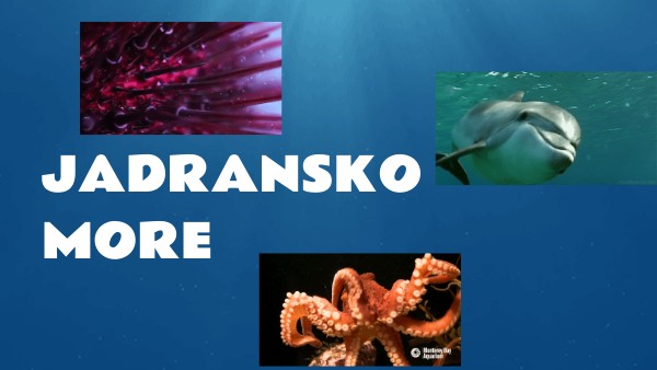 Jadransko more i živi svijet | Genially