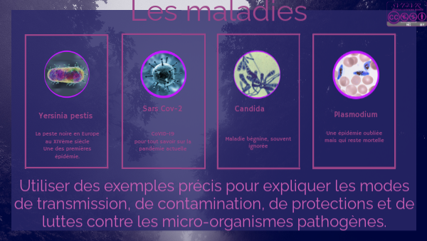 Maladie-pandémie | Genially