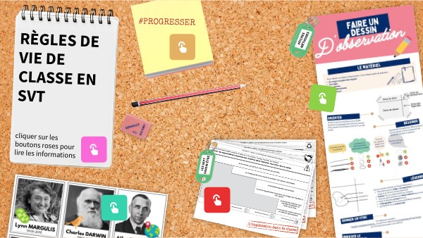 PRÉSENTATION SVT | Genially