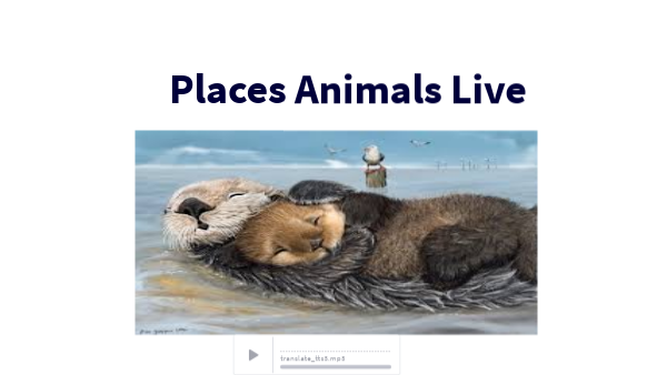 Places Animals Live