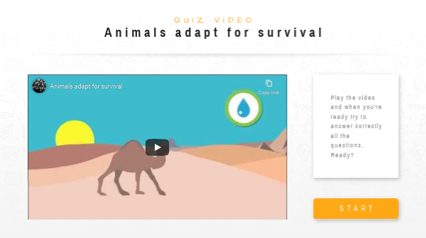 QUIZ: Animals adapt for survival | Genially