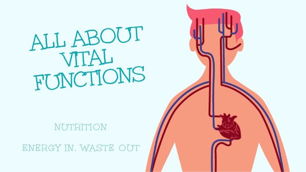 All about vital functions