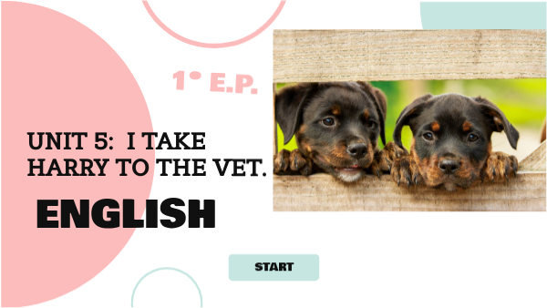 PETS. 1ºE.P. (4) | Genially