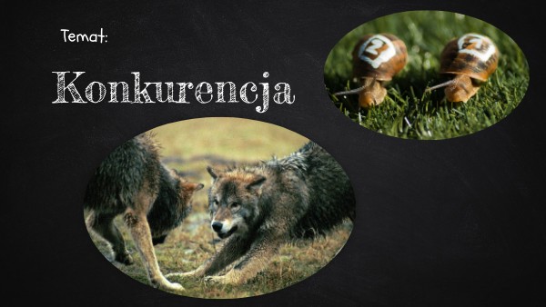 Konkurencja klasa 8 | Genially