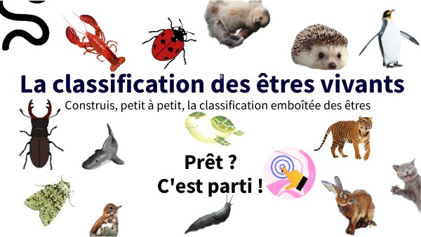 Classification 2 sixième