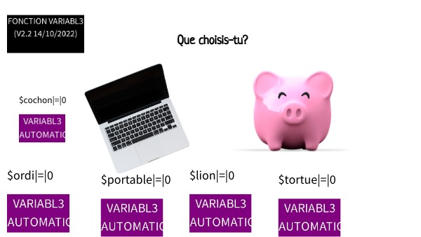 formation essaie variabl3 | Genially