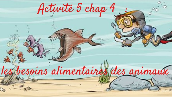 les besoins nutritifs des animaux | Genially