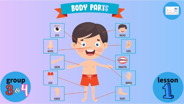 Group 3-4 Body Parts lesson 1