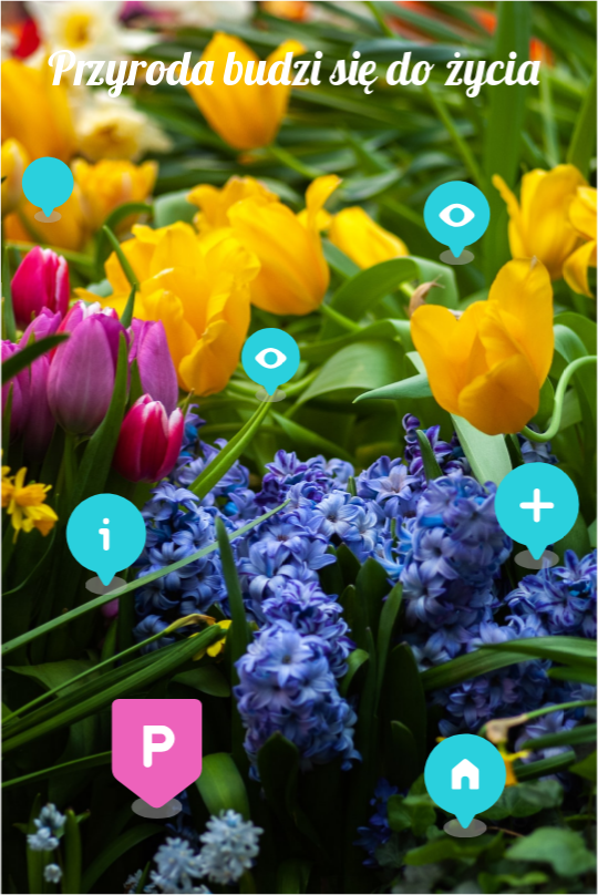 Lekcja 16. Czy już widać wiosnę w lesie?