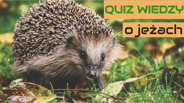 Dzień jeża | Genially