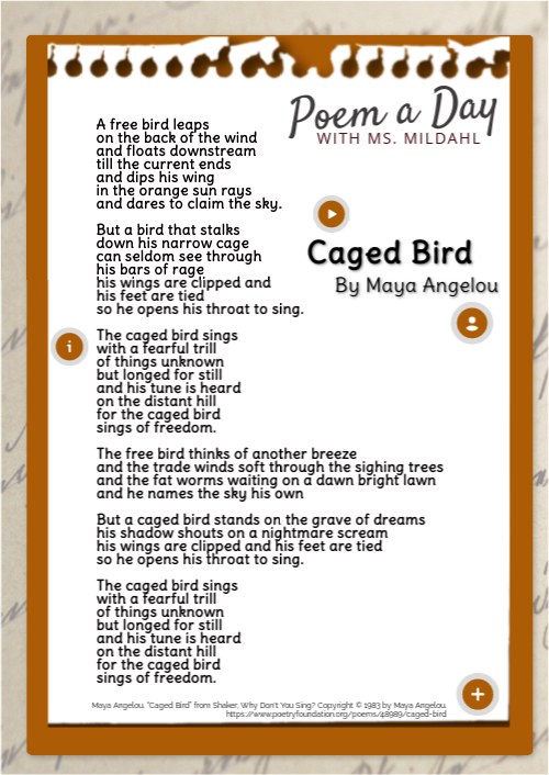 Poem a Day - Caged Bird