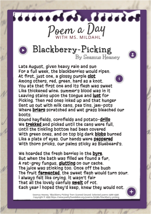 Poem a Day - Blackberry-Picking